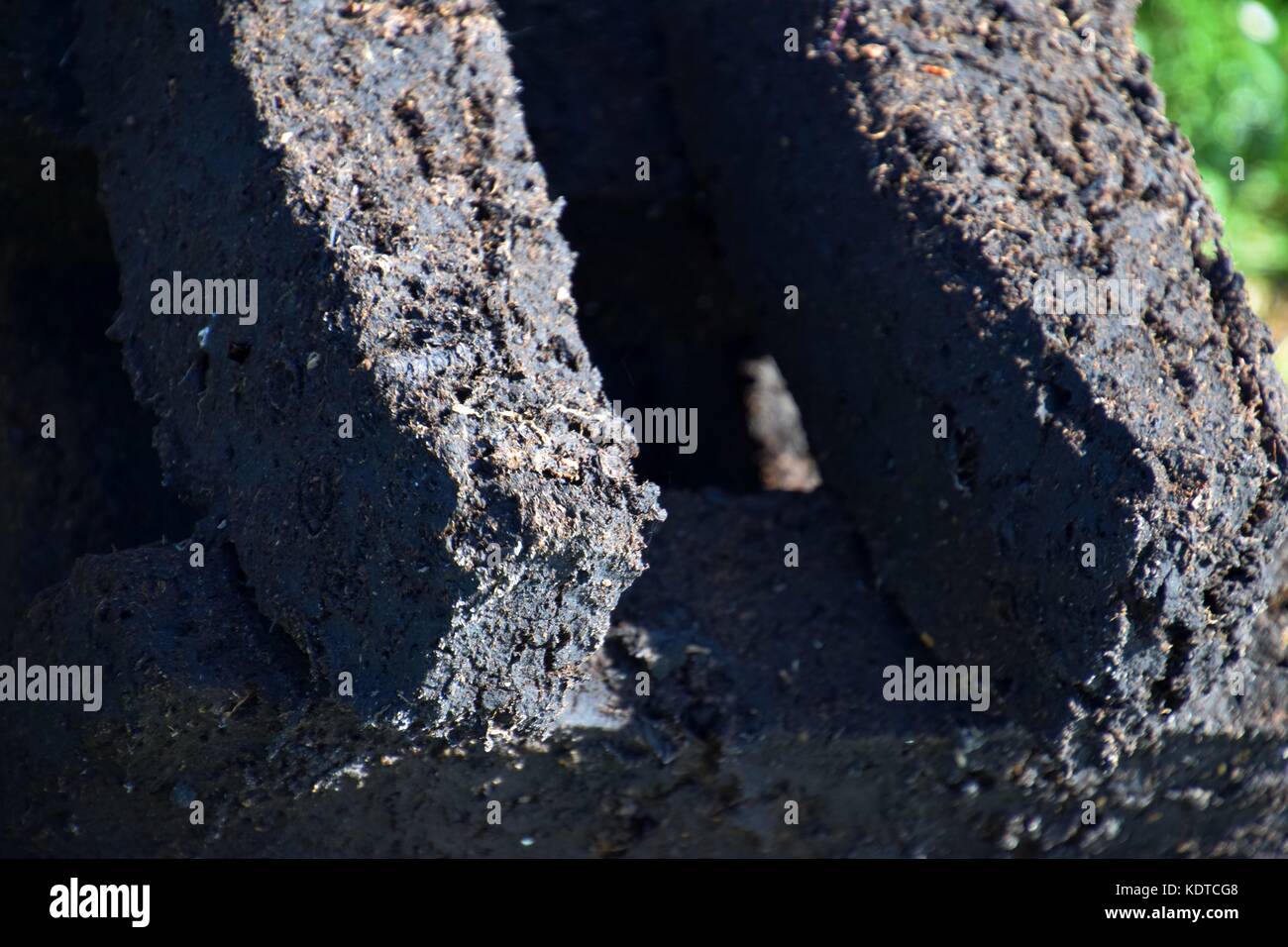 peat stacks in the autumn sun, harvesting the peat in bavaria, rural ...