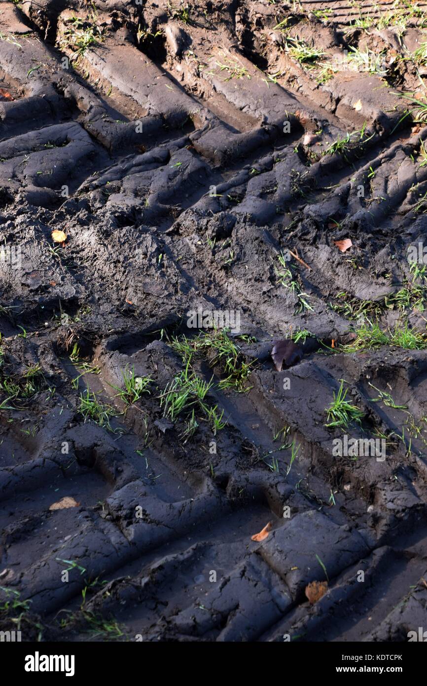 wheel impressions from a tractor in black ground in a Moorland ...