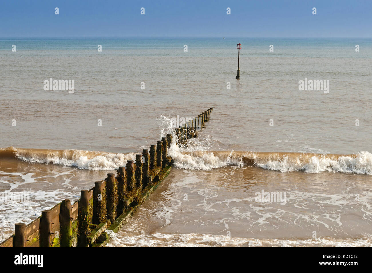 Wooden Groyne Coastal Defence Covered in Seaweed Stock Photo - Alamy