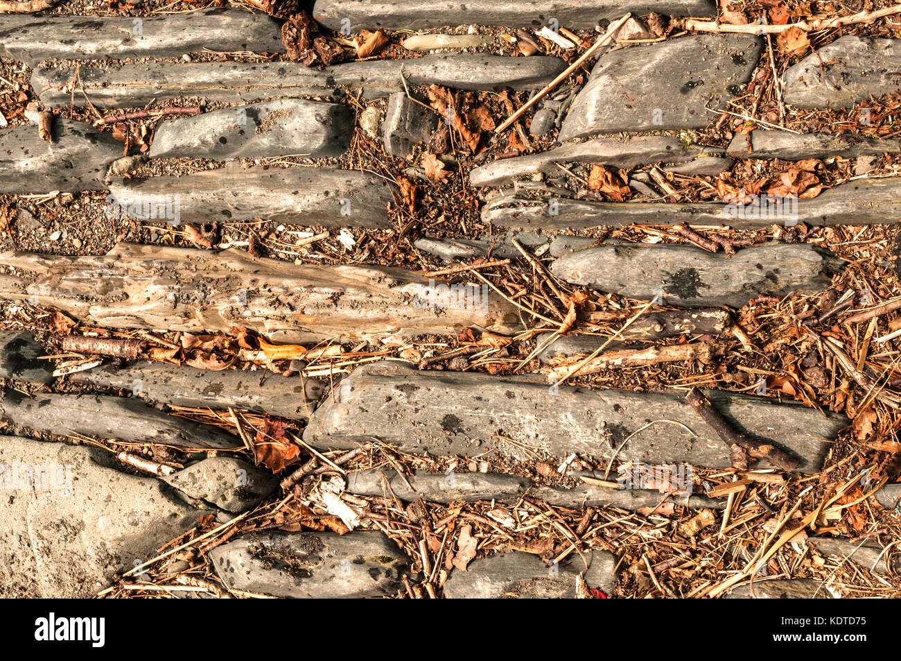 Stony ground texture background hi-res stock photography and images - Alamy