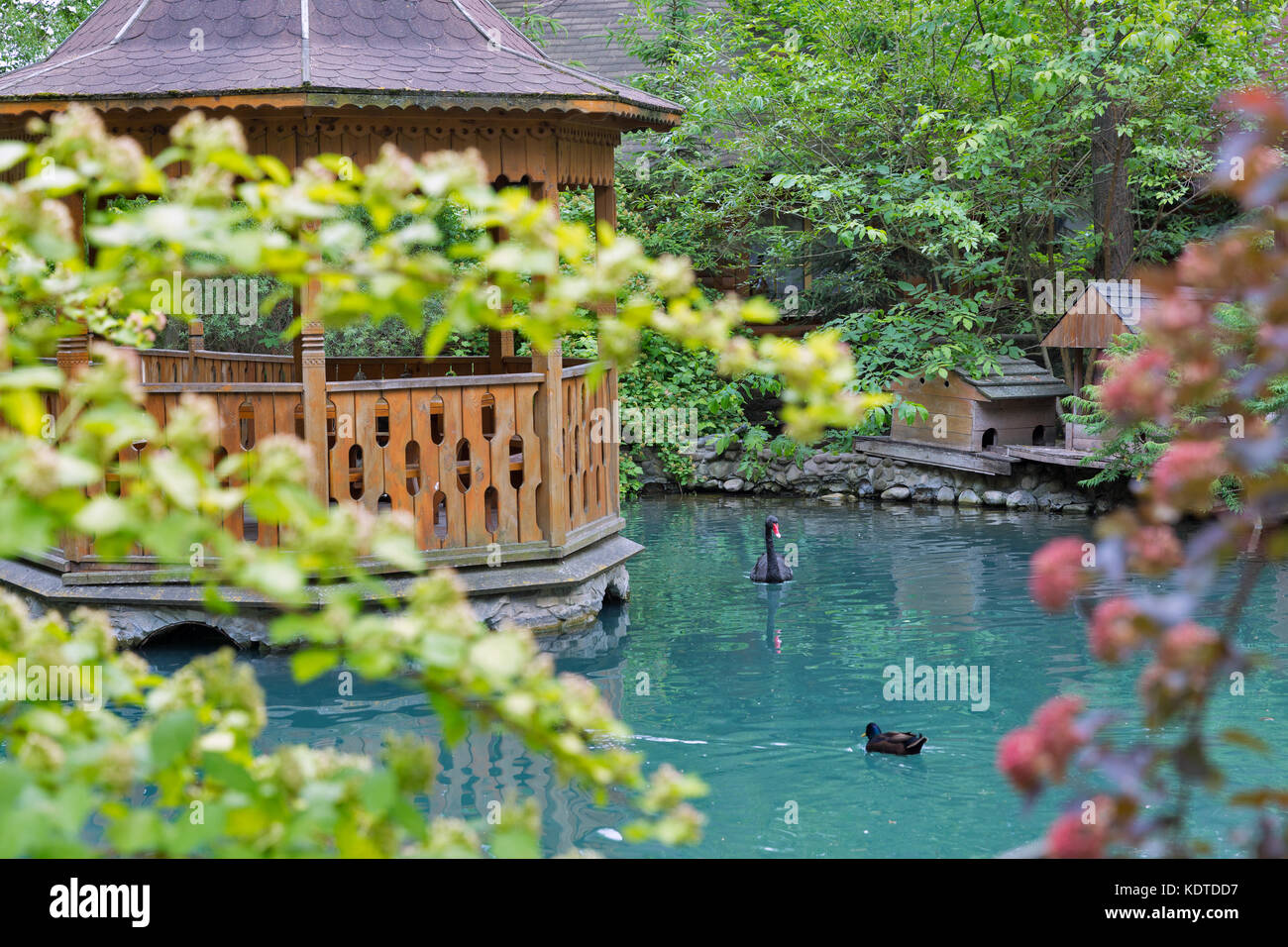 Summer colorful landscape with garden pond, wooden gazebo on the island ...