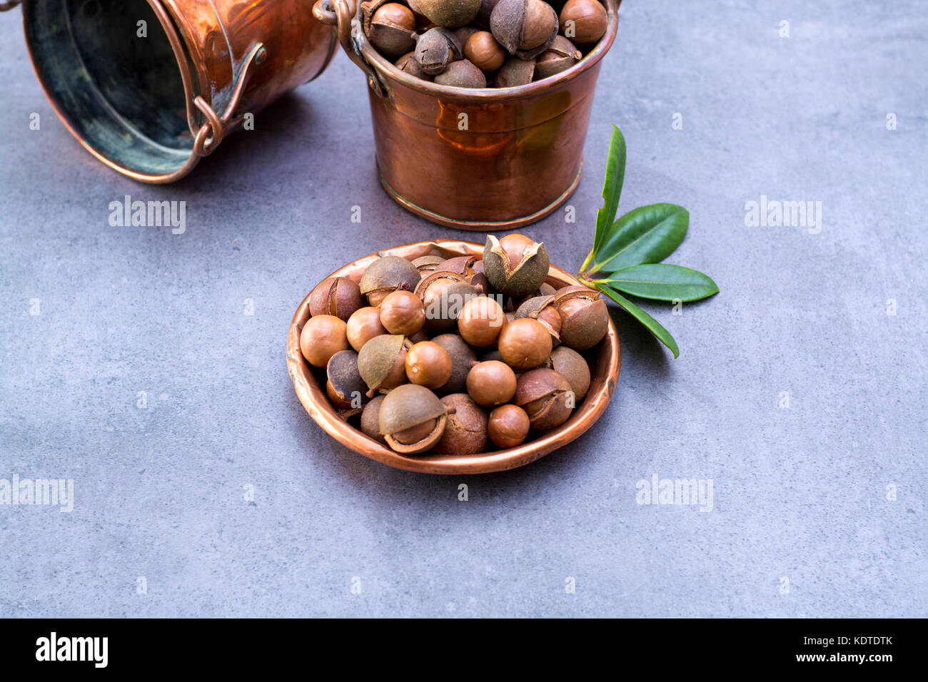 Australian macadamia nuts, unpeeld fresh harvest close up Stock Photo ...