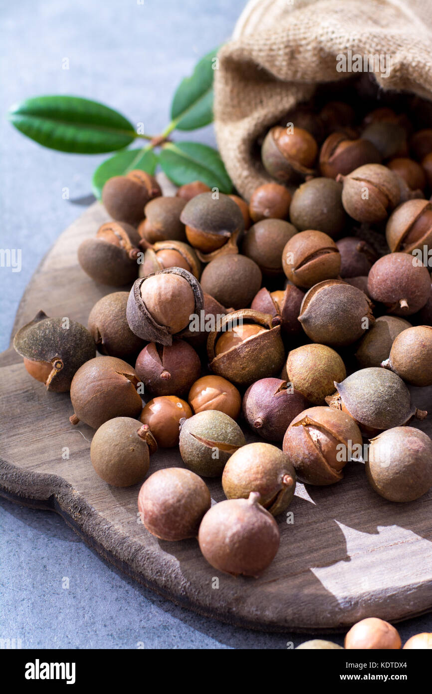 Australian macadamia nuts, unpeeld fresh harvest close up Stock Photo ...