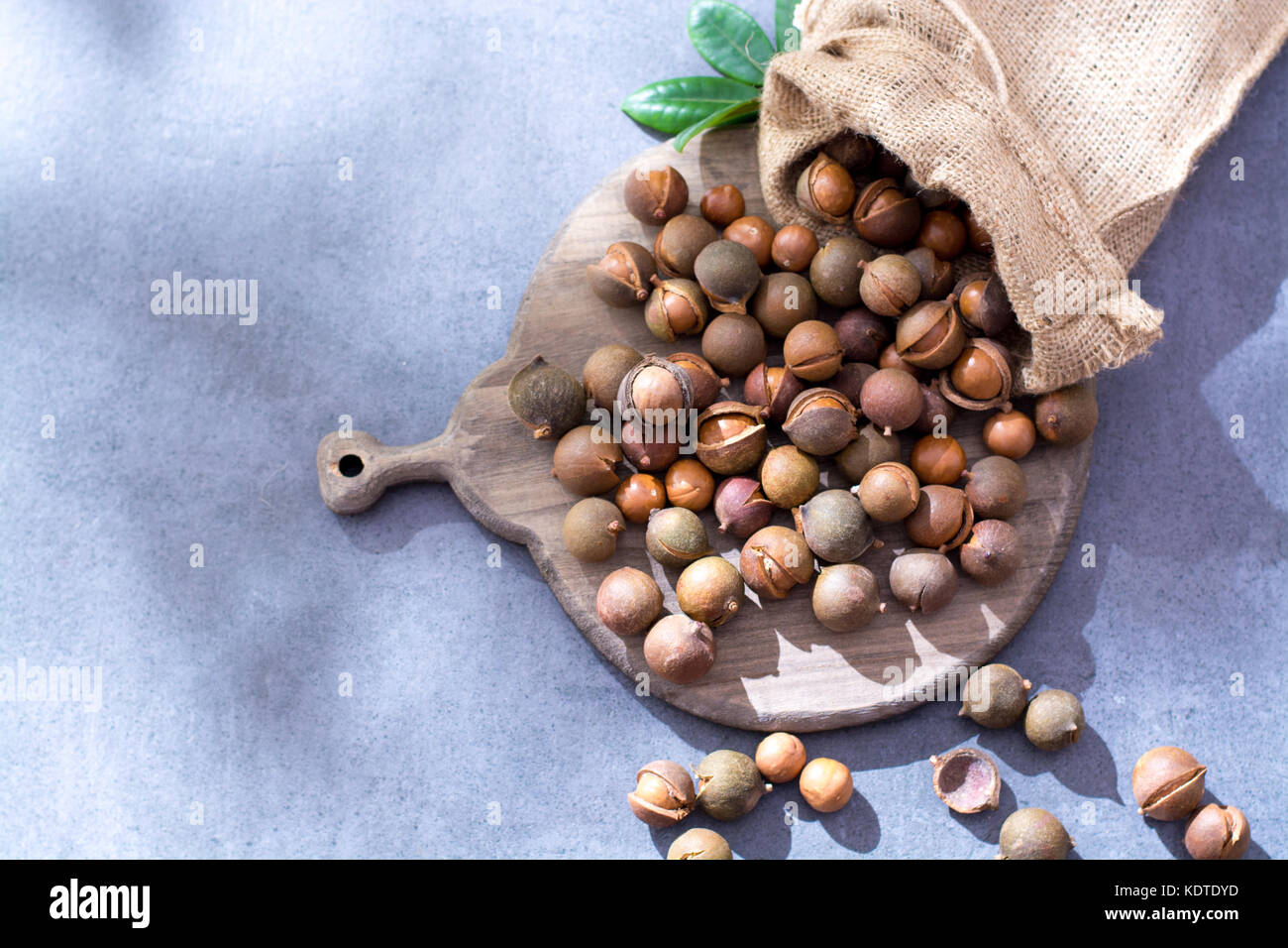 Australian macadamia nuts, unpeeld fresh harvest close up Stock Photo ...