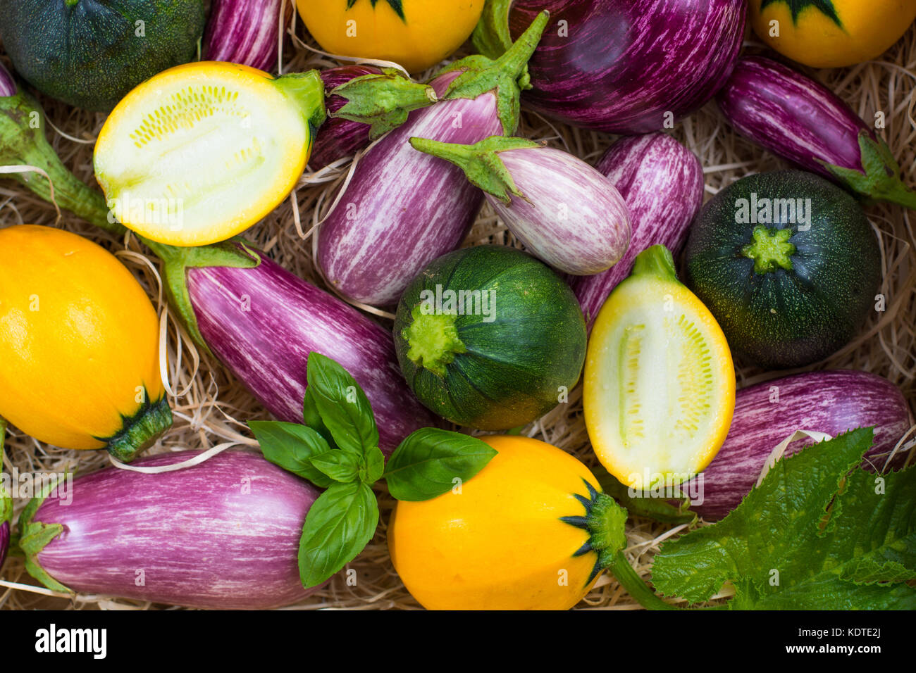 Fresh colorful organic vegetables background or wallpaper - round ...