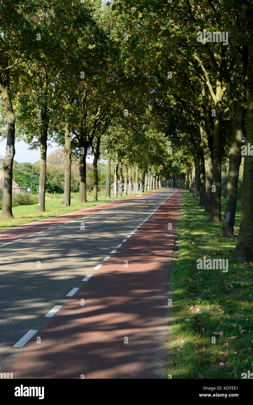Dutch road between small villages with bicycle paths, transportation in ...