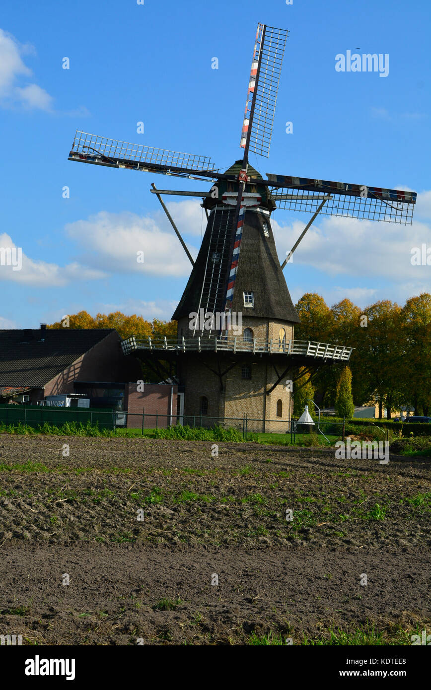Landscape with traditional Dutch grain windmill, Veldhoven, North ...