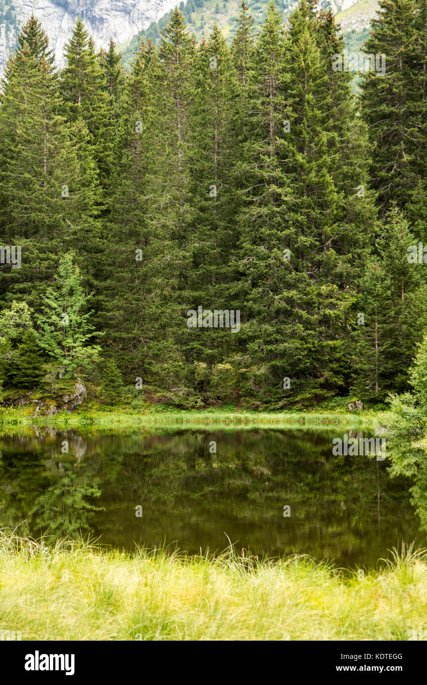 Small forest lake in Alpen mountains, place for walking, relaxation and ...