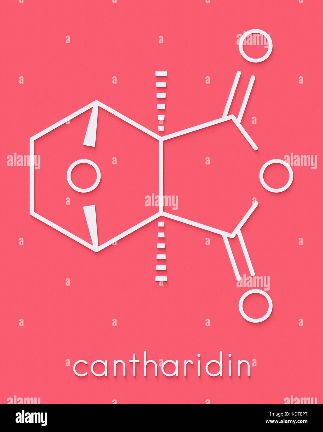 Cantharidin blister beetle poison molecule. Secreted by blister beetles ...