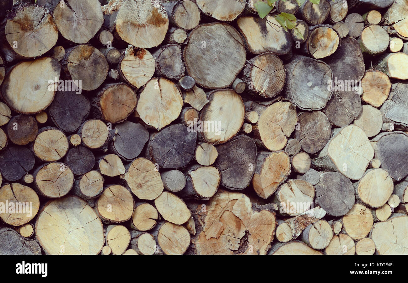 Stack of logs. A lot of cuted branches and trunks Natural wooden ...