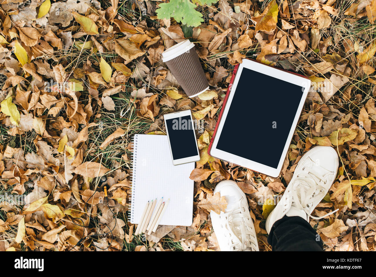 Flat lay view hi-res stock photography and images - Alamy