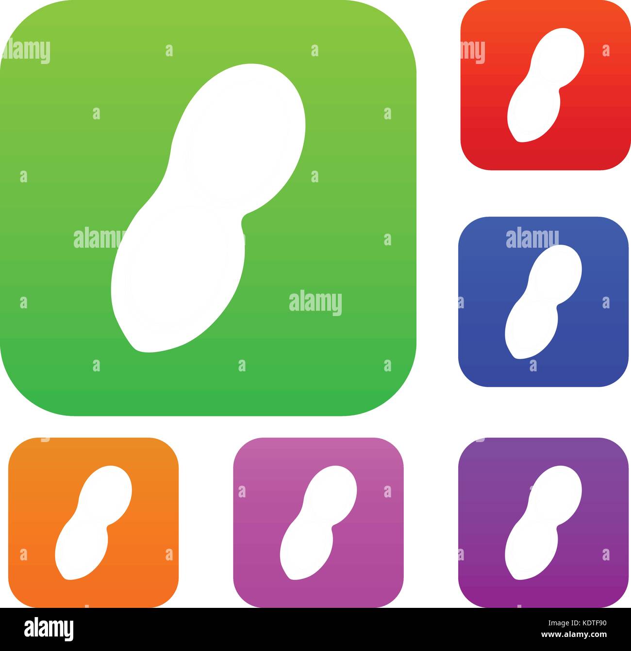 Peanut set color collection Stock Vector Image & Art - Alamy