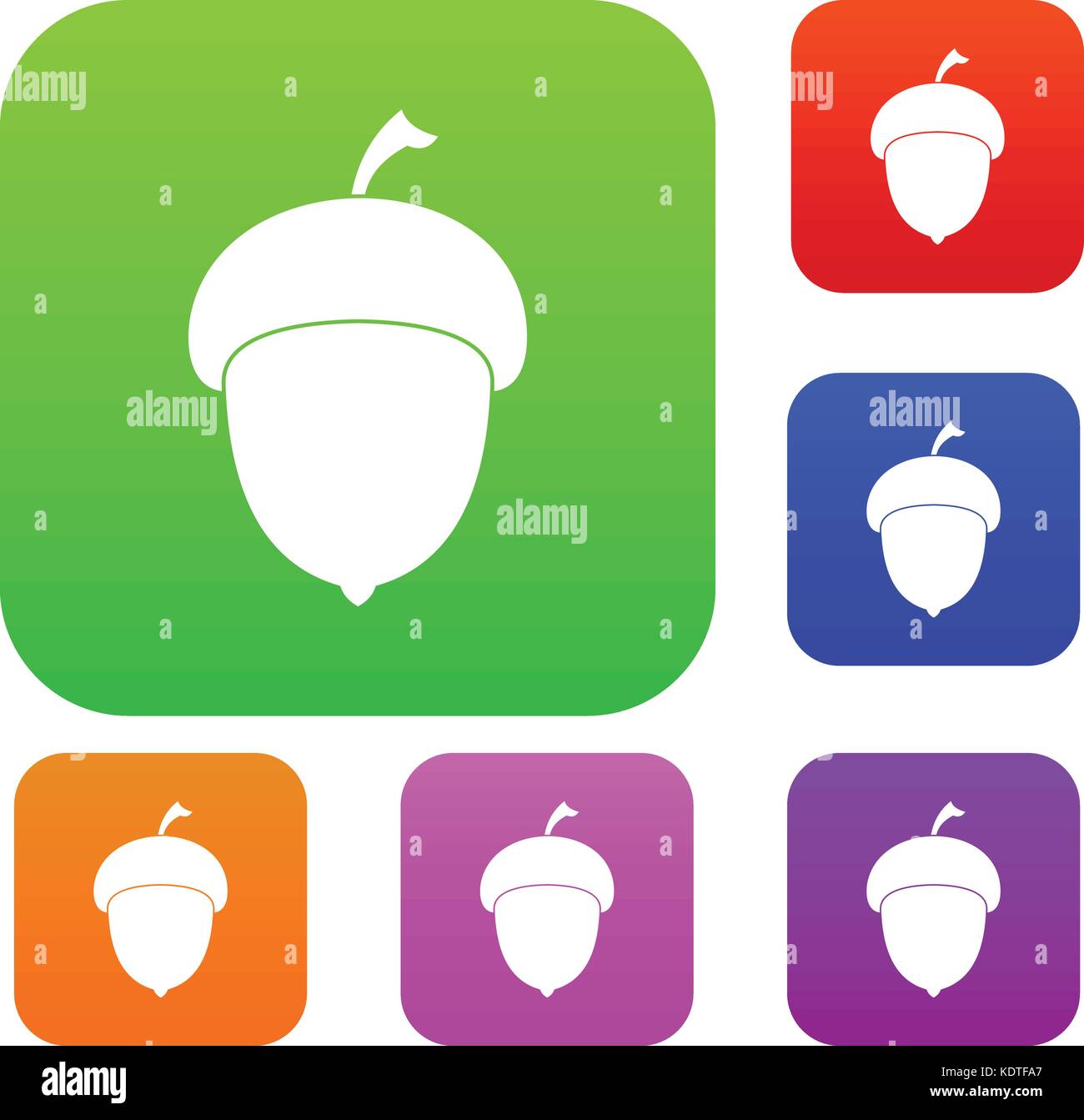 Acorn set color collection Stock Vector Image & Art - Alamy