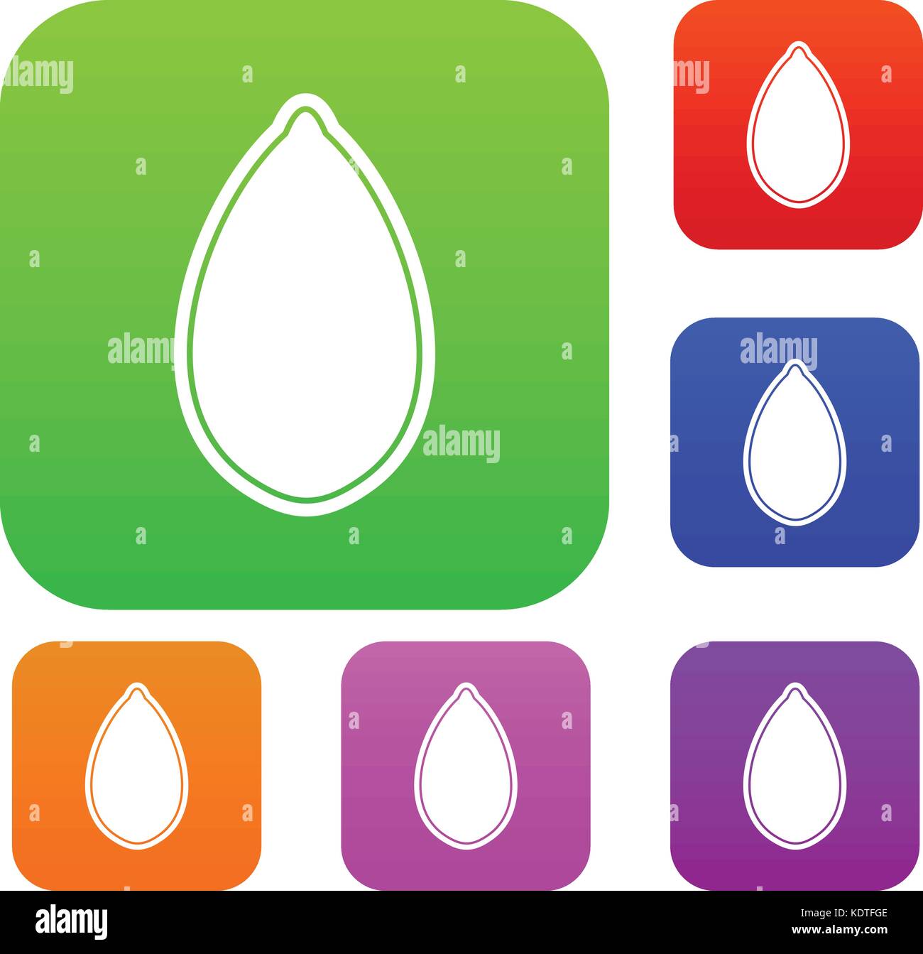 Pumpkin seed set color collection Stock Vector Image & Art - Alamy