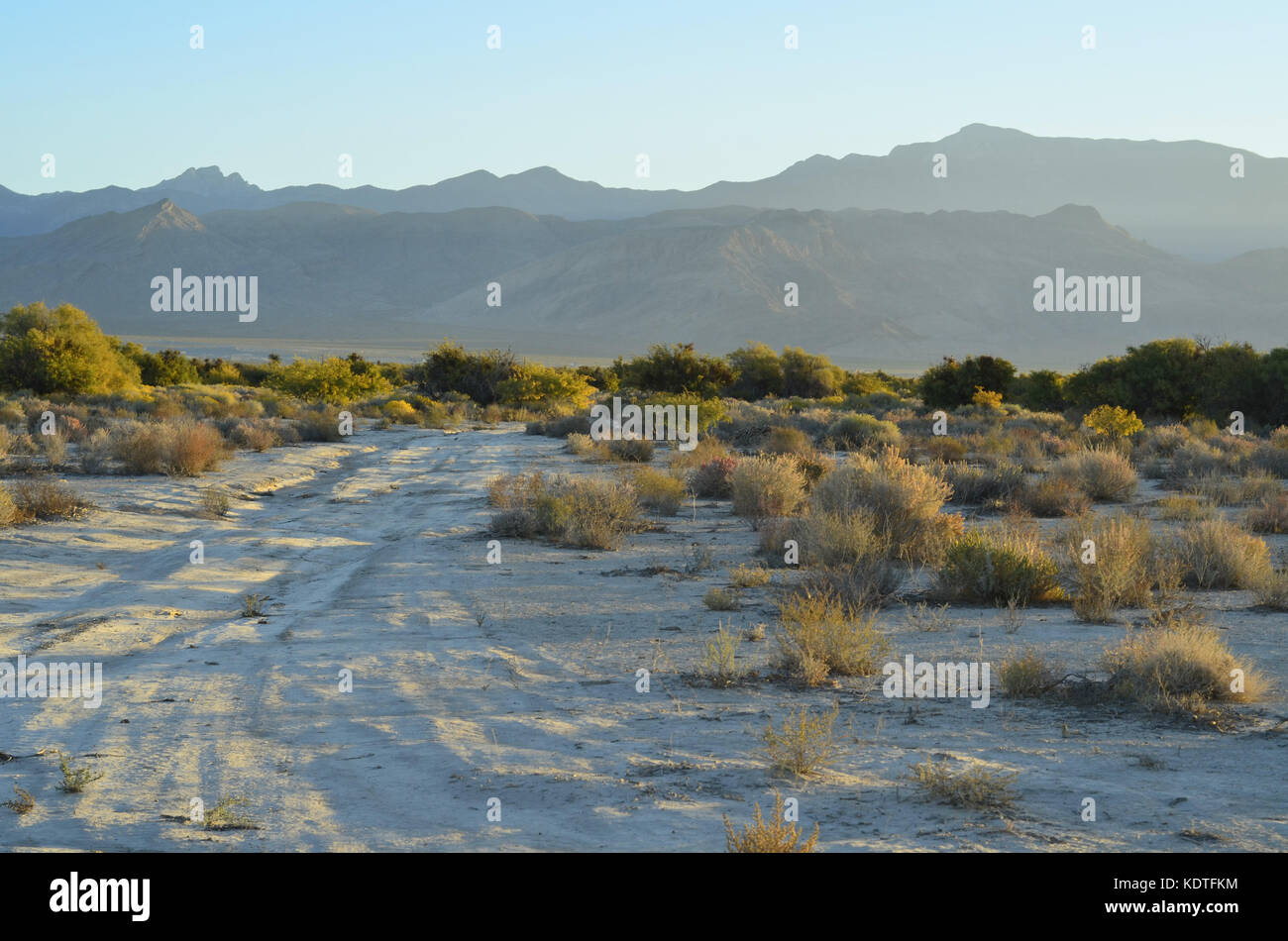 early morning desert landscape Stock Photo - Alamy