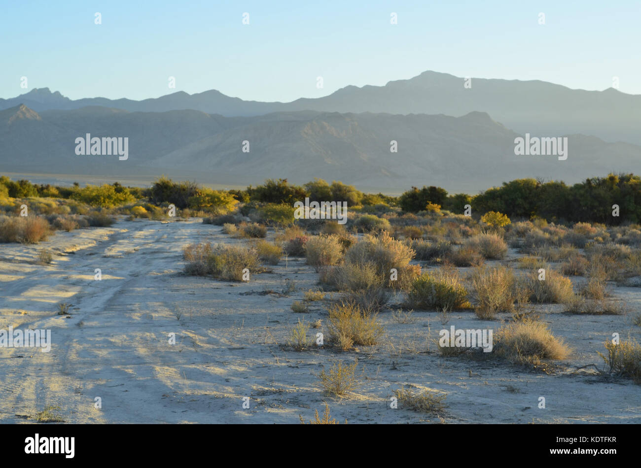 early morning desert landscape Stock Photo - Alamy