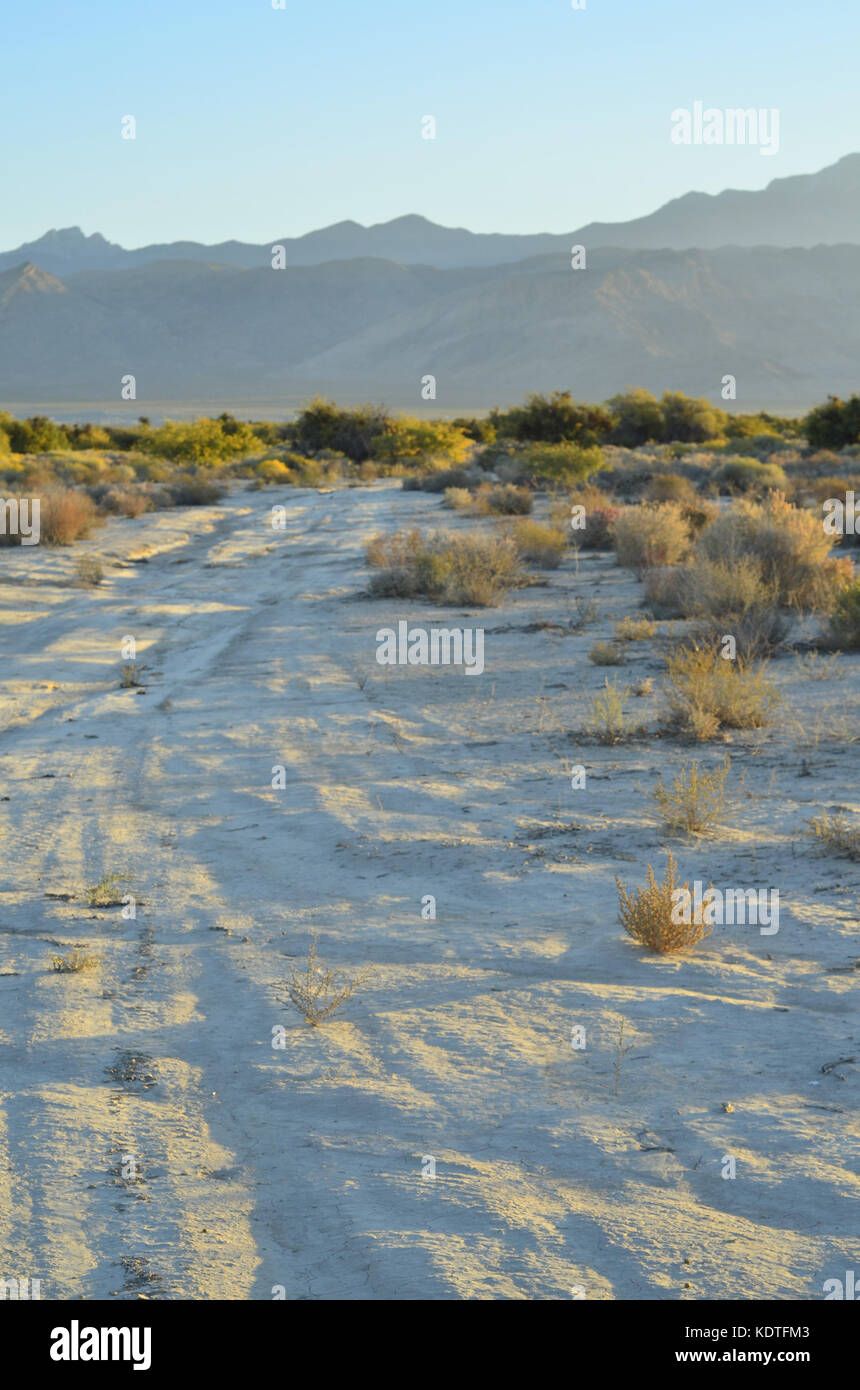 early morning desert landscape Stock Photo - Alamy