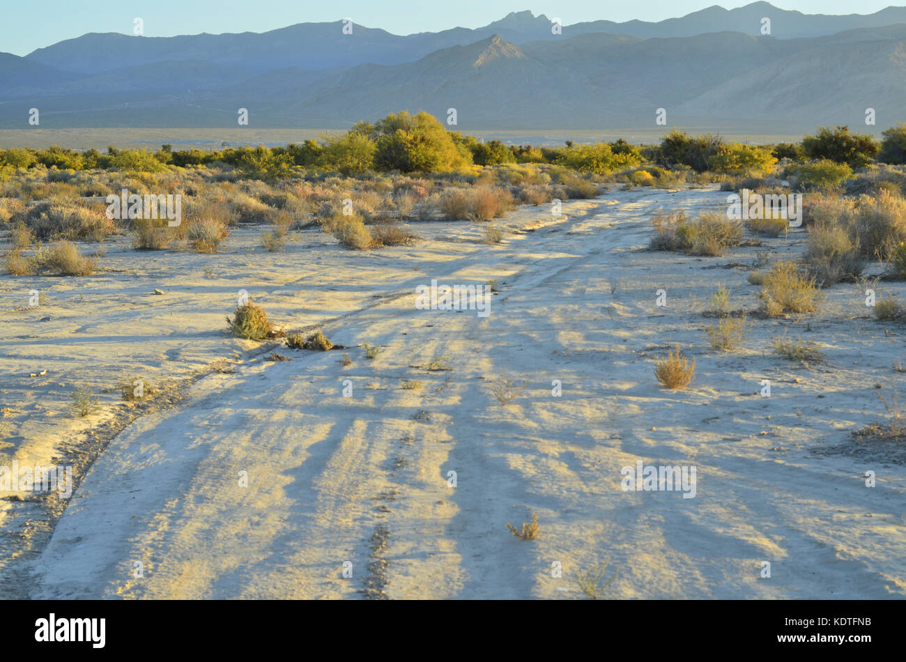 early morning desert landscape Stock Photo - Alamy