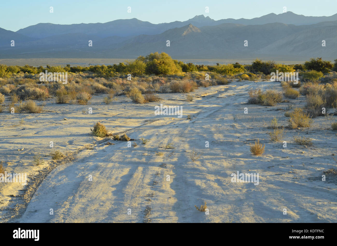 early morning desert landscape Stock Photo - Alamy