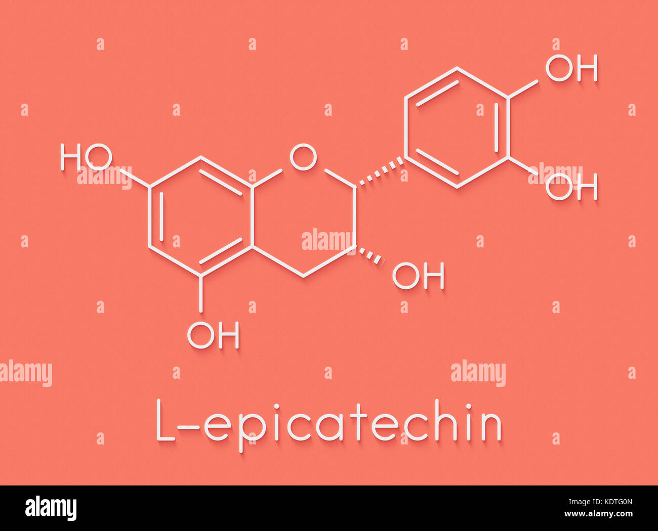 Epicatechin (L-epicatechin) chocolate flavonoid molecule. Skeletal ...
