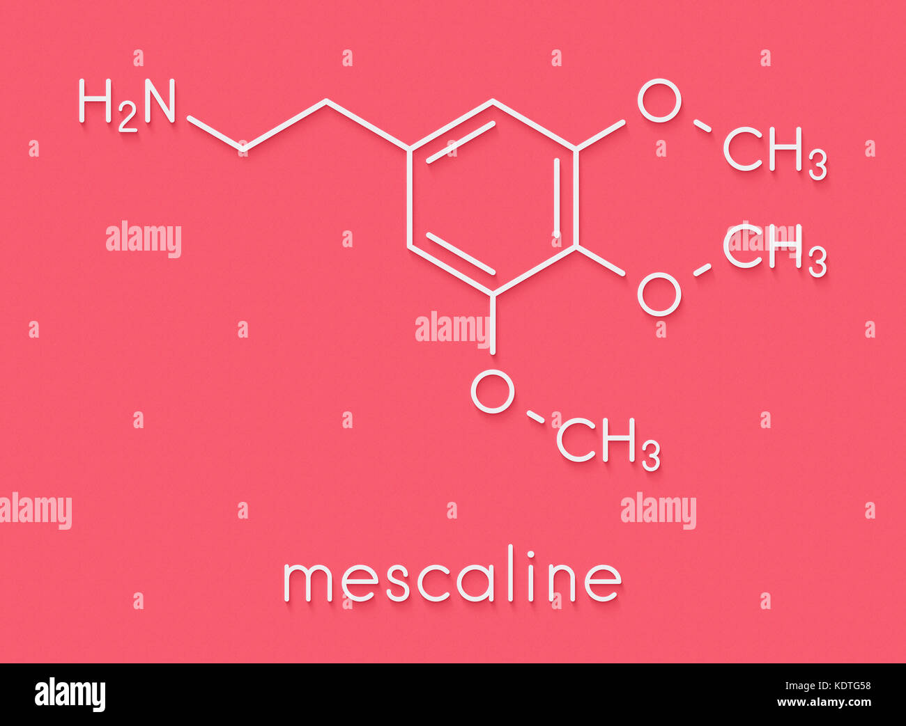 Mescalin cactus hi-res stock photography and images - Alamy