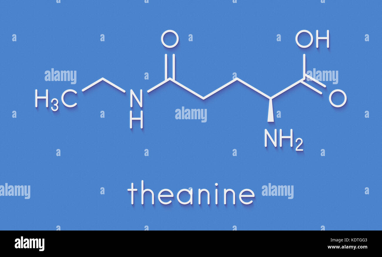 Theanine herbal molecule. Constituent of tea prepared from Camellia ...