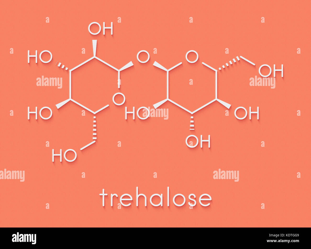 Trehalose Chair Conformation