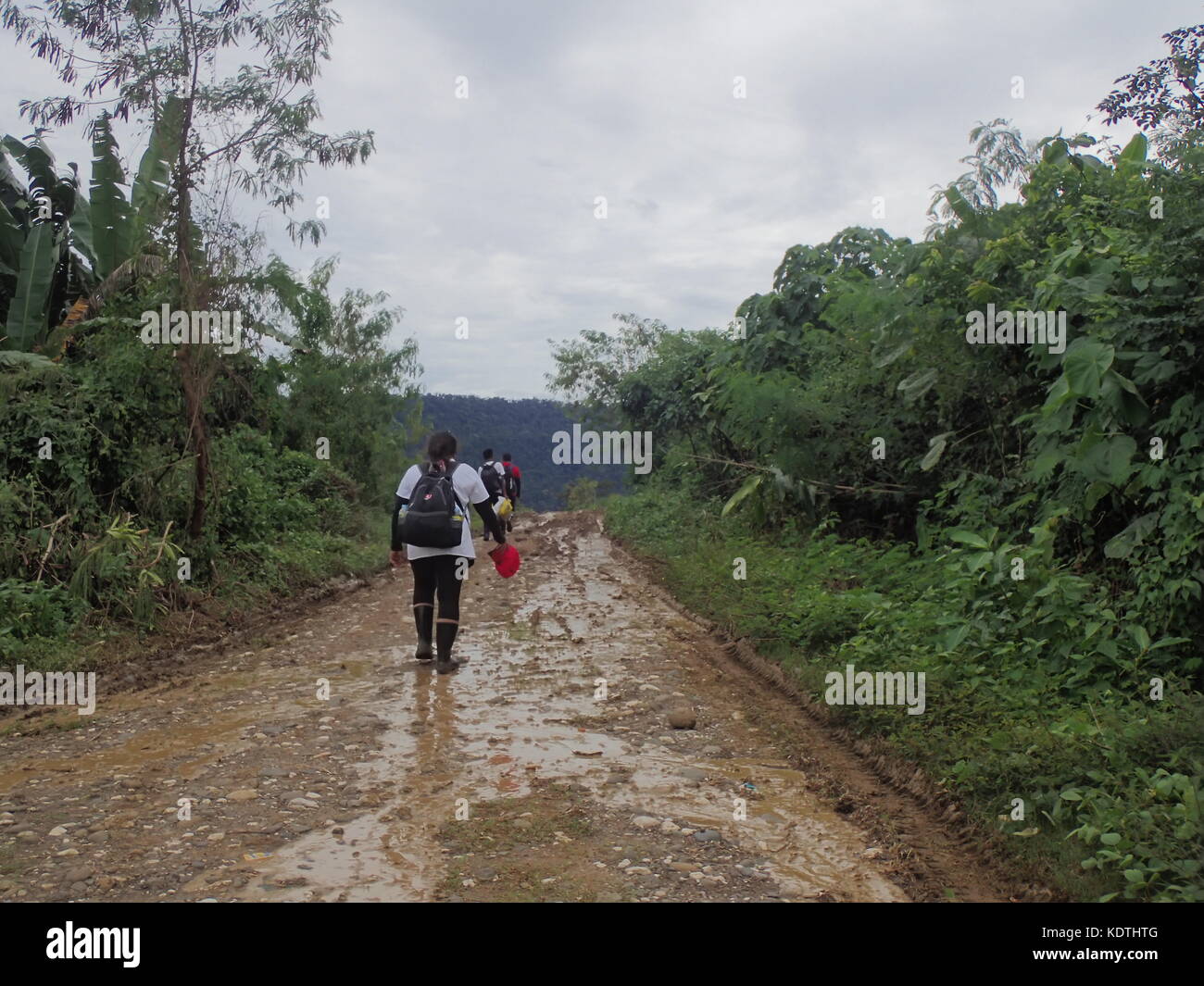 Winds of change animals hi-res stock photography and images - Alamy