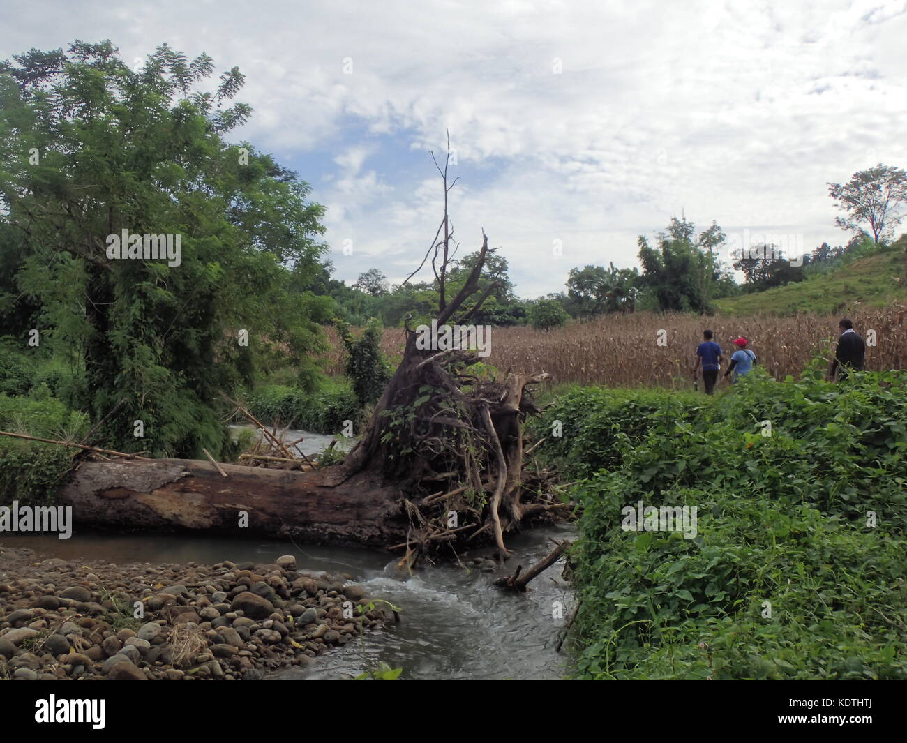 Winds of change animals hi-res stock photography and images - Alamy