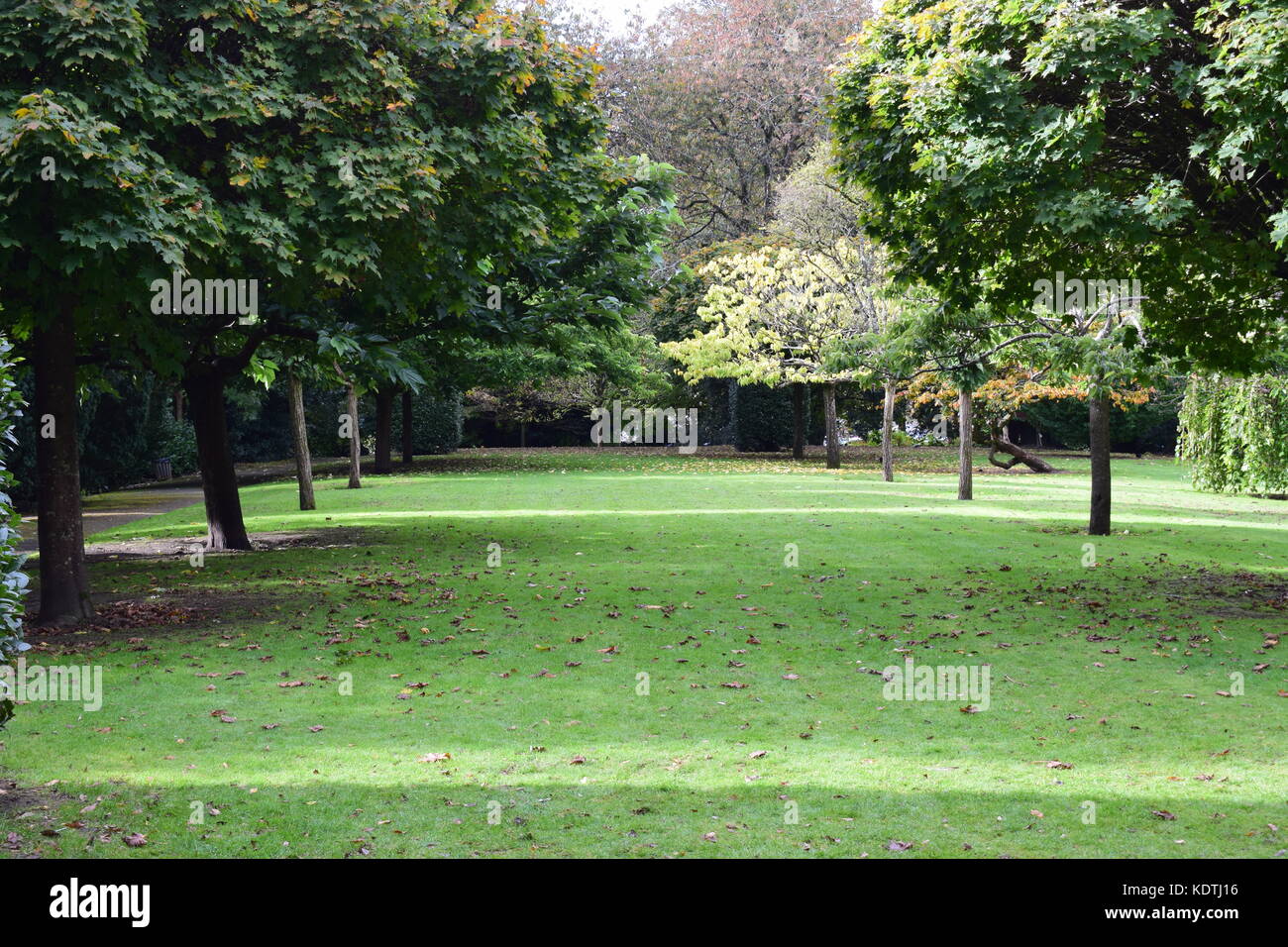 Symmetrical trees hi-res stock photography and images - Alamy
