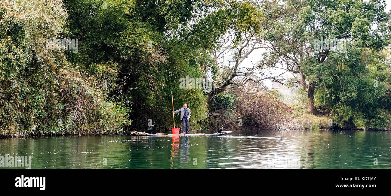 Man catching birds hi-res stock photography and images - Alamy