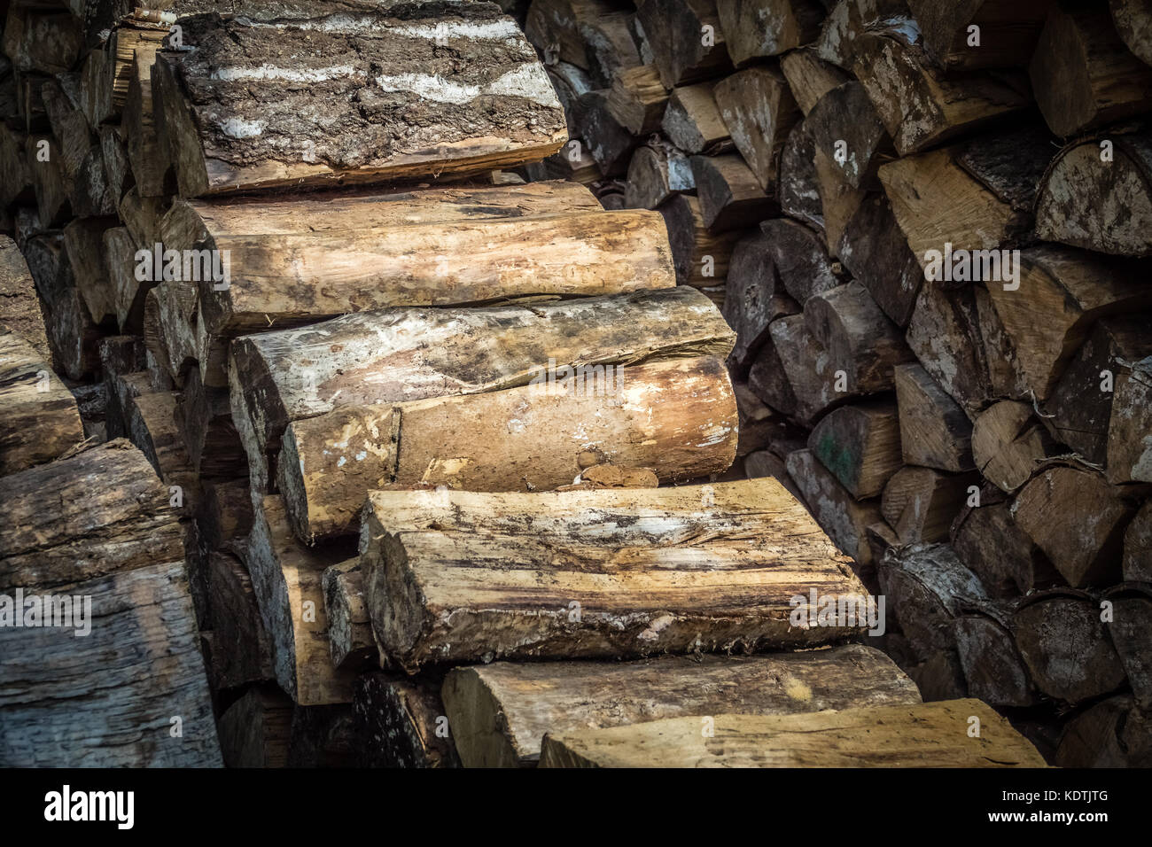 Firewood stacked in huge piles inside a hothouse in the garden Stock ...