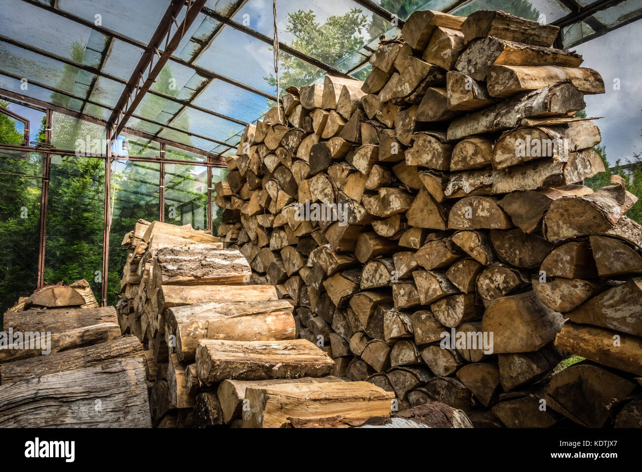 Firewood stacked in huge piles inside a hothouse in the garden Stock ...