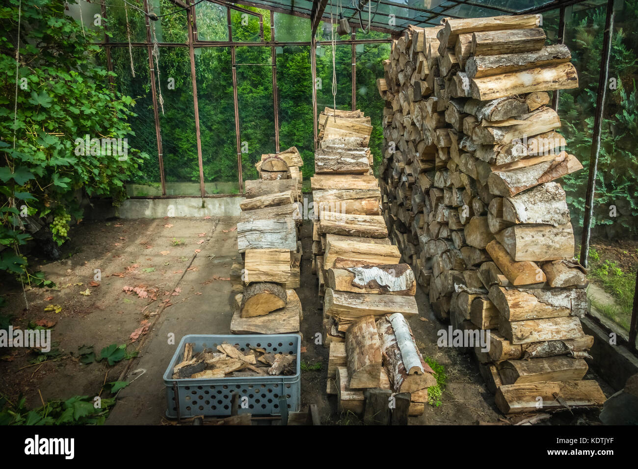 Firewood stacked in huge piles inside a hothouse in the garden Stock ...