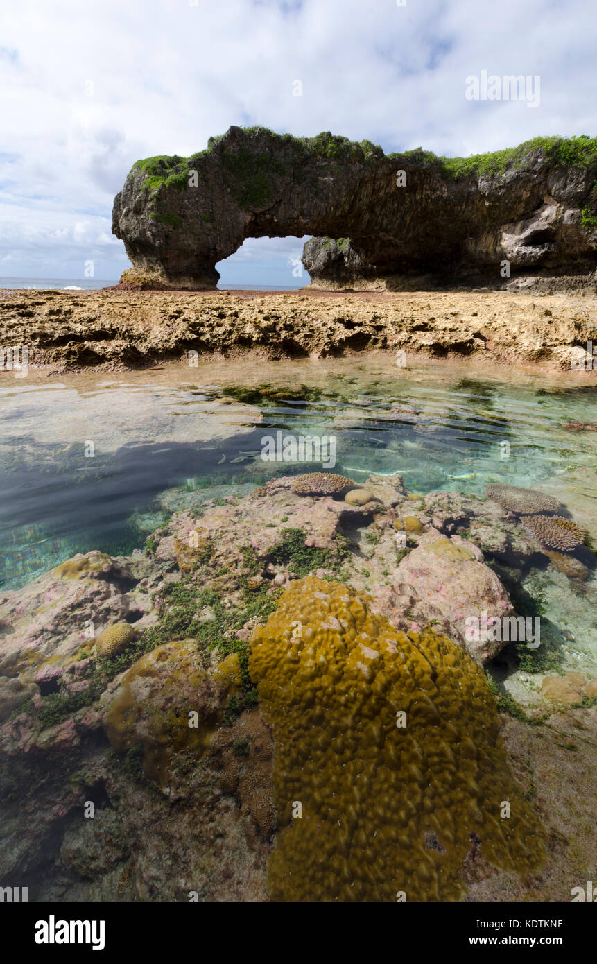 Arch reef hi-res stock photography and images - Alamy