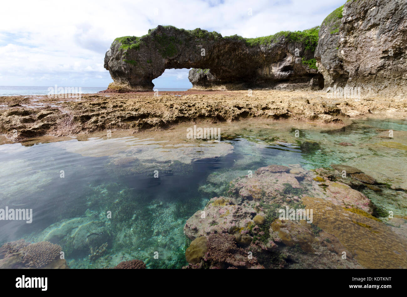 Natural Arch and reef pool, Talava, Niue, South Pacific Stock Photo - Alamy