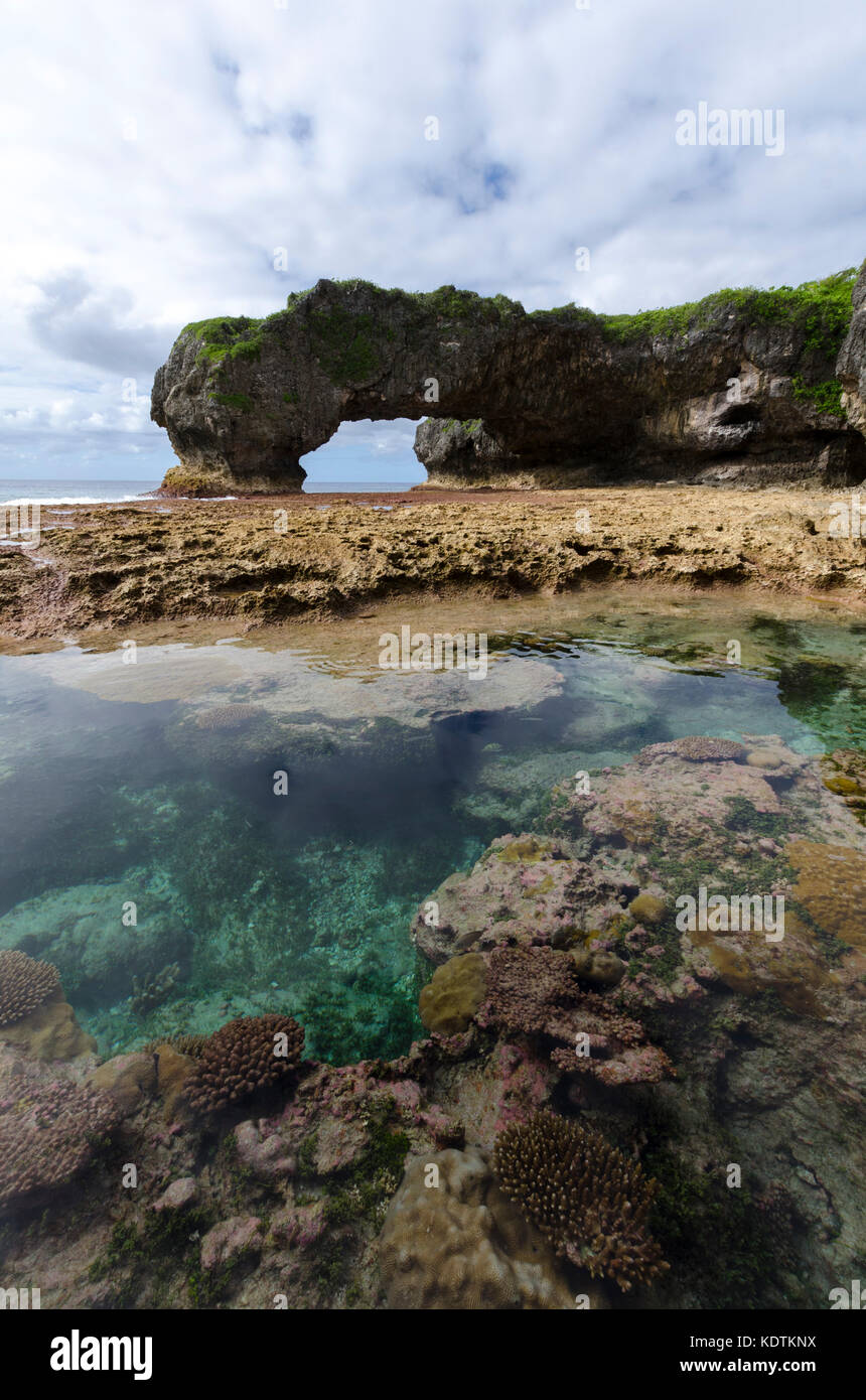 Reef limestone hi-res stock photography and images - Alamy