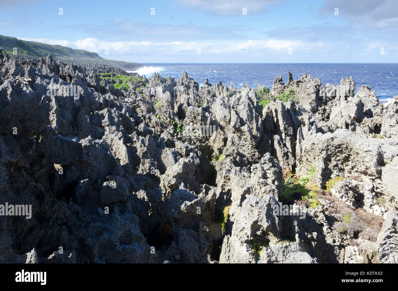 Limestone pinnacles beside sea, Togo, Niue, South Pacific Stock Photo ...
