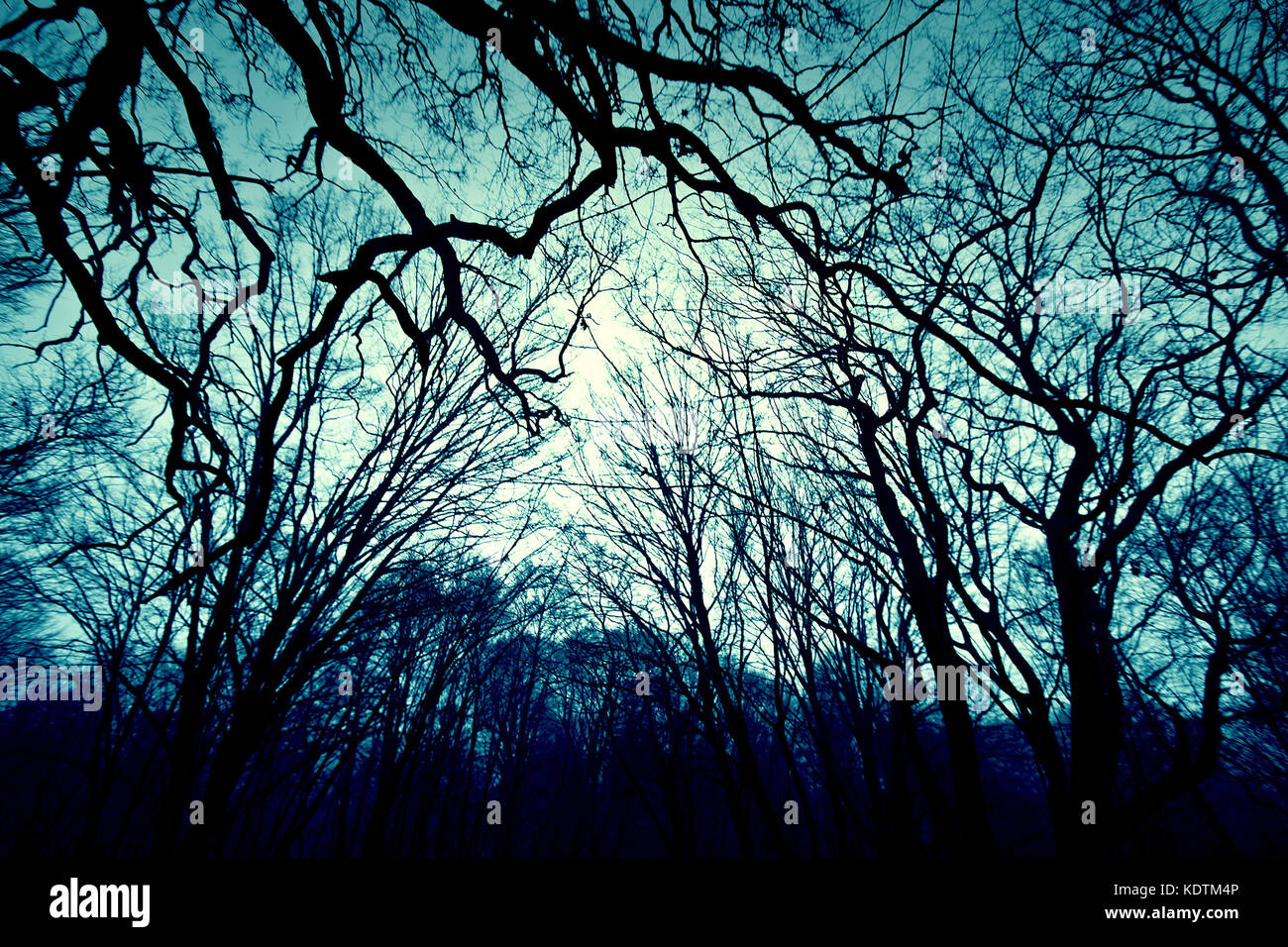 Dark Snowy Backgrounds