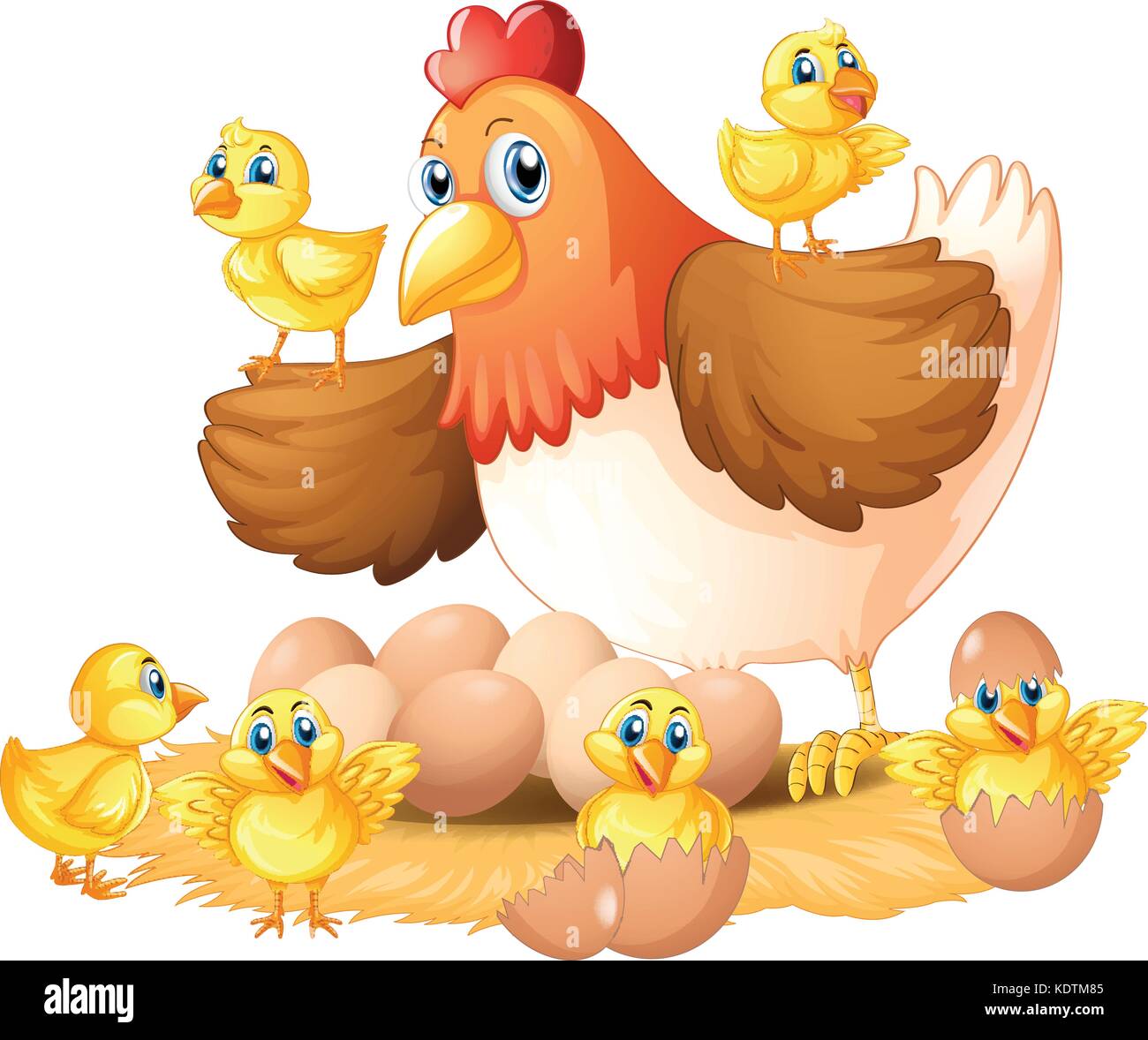 Hen and chicks on nest illustration Stock Vector Image & Art - Alamy