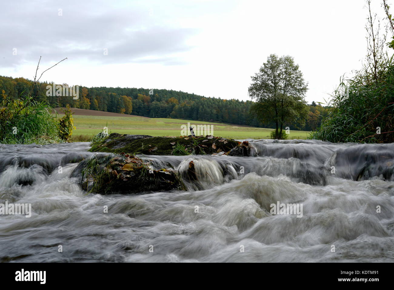River roding hi-res stock photography and images - Alamy
