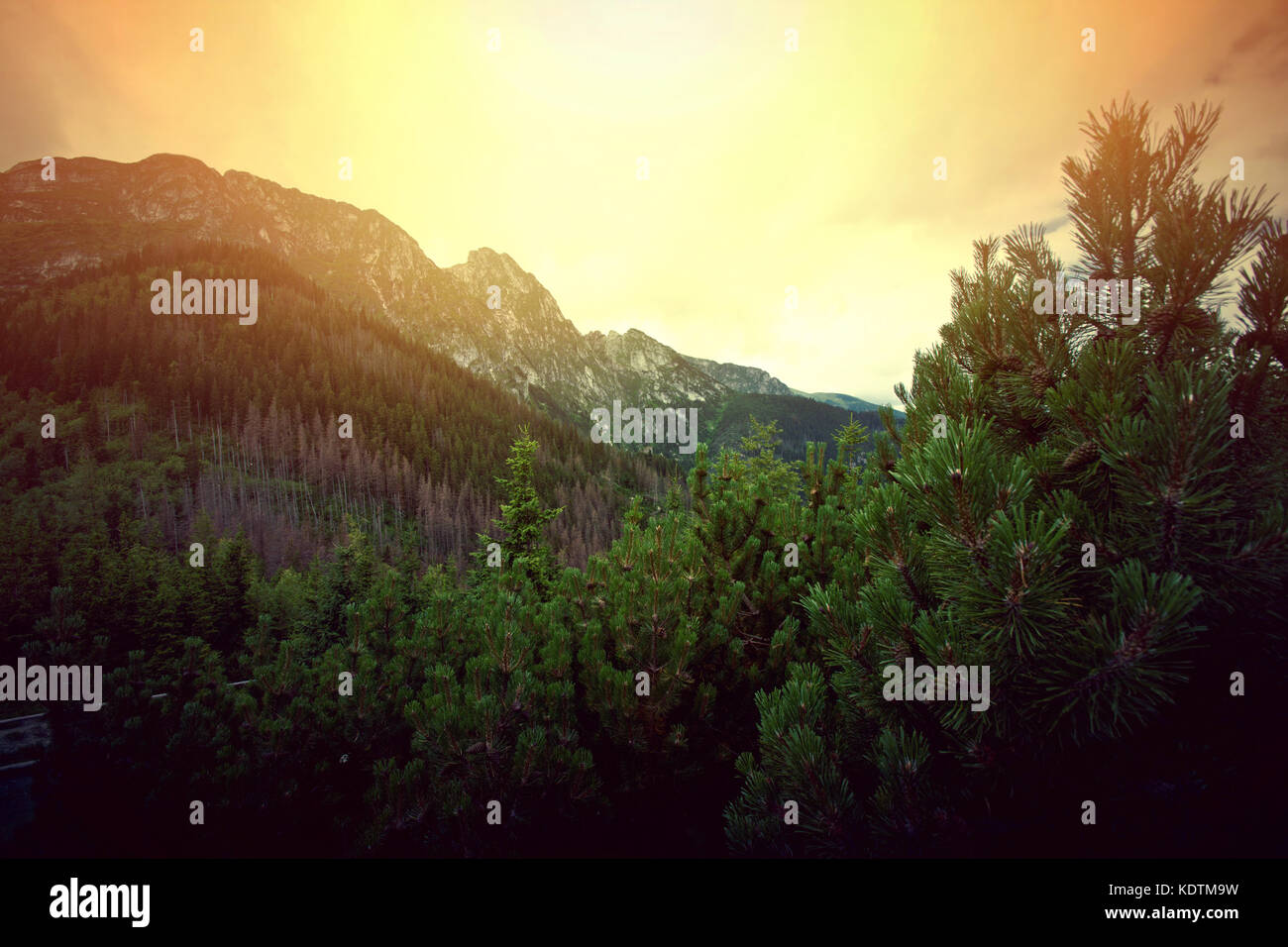 Fog in mountains. Fantasy and colorfull nature landscape. Nature ...