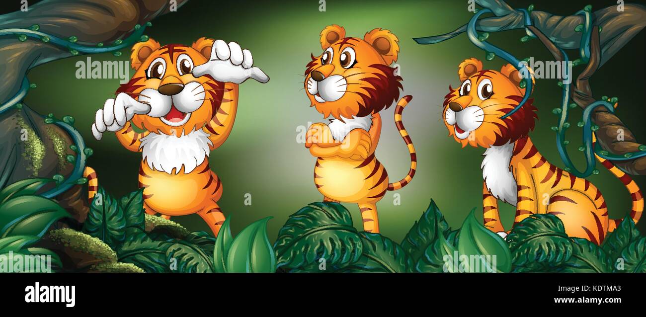 Three tigers in the rainforest illustration Stock Vector Image & Art ...