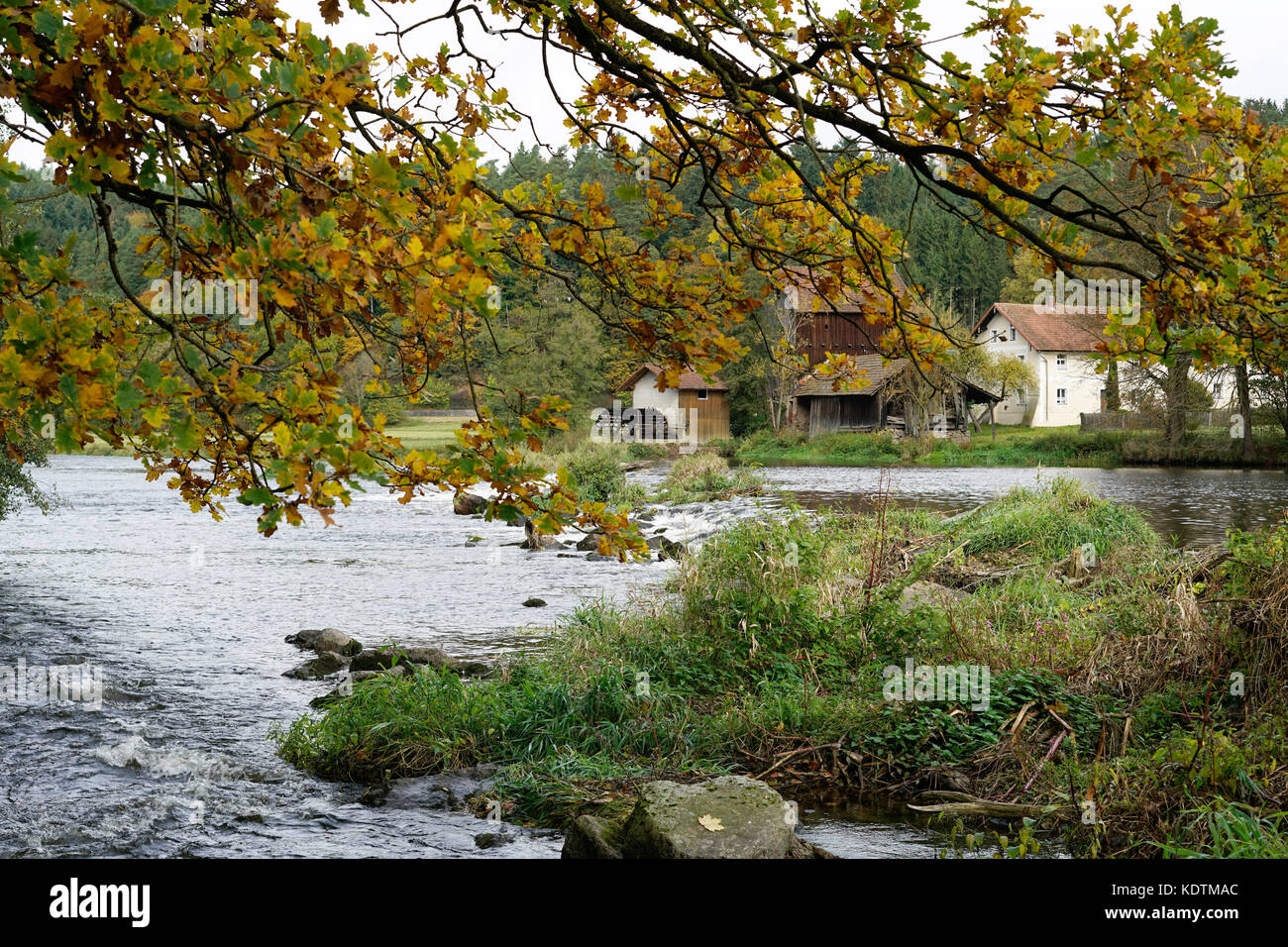 River Roding High Resolution Stock Photography and Images - Alamy