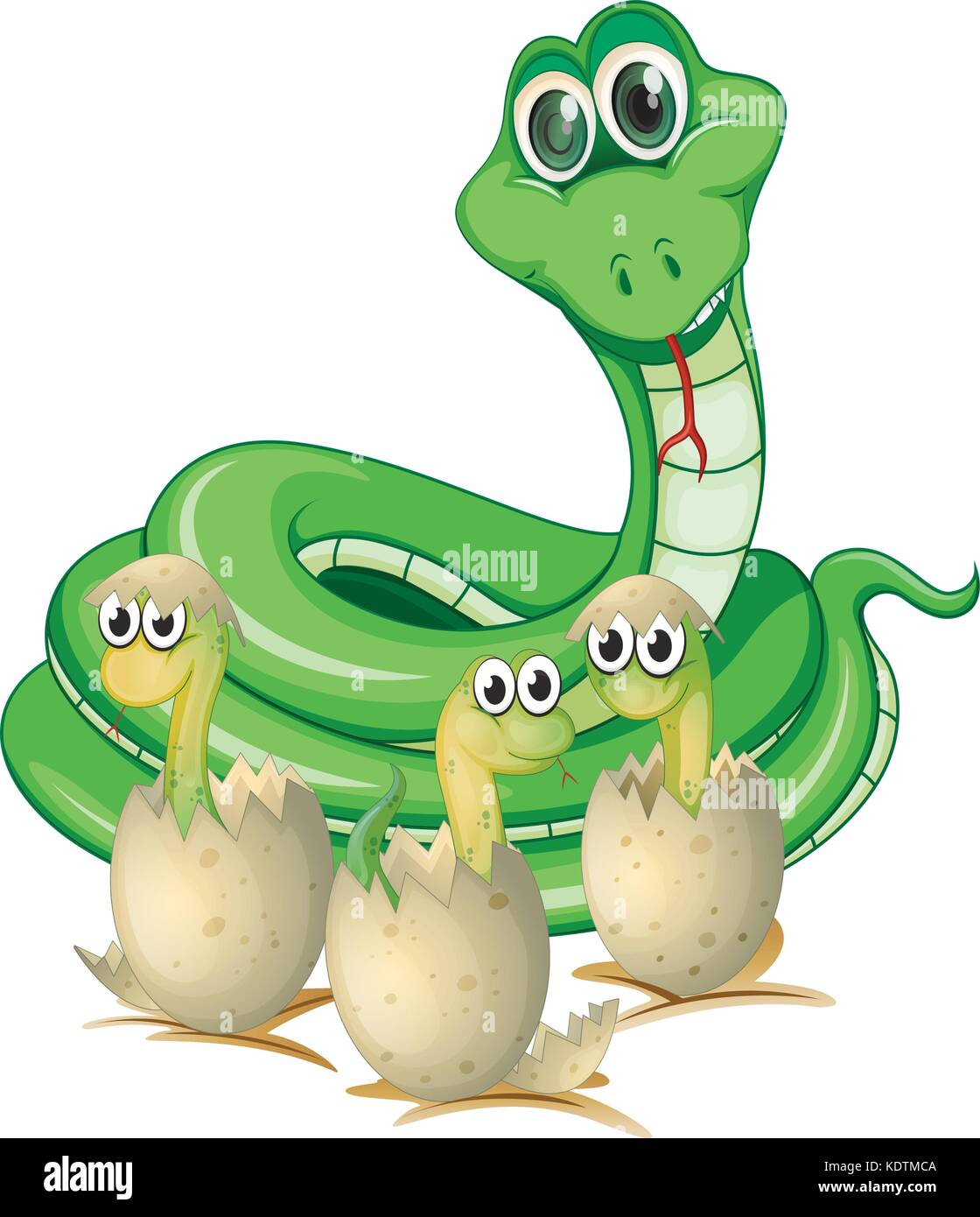 Baby snakes hi-res stock photography and images - Alamy