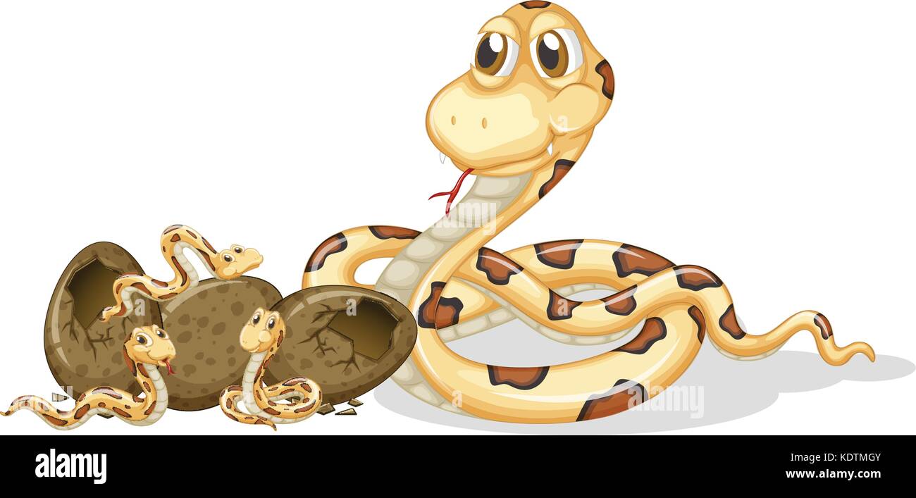 Snake eggs hatching Stock Vector Images - Alamy