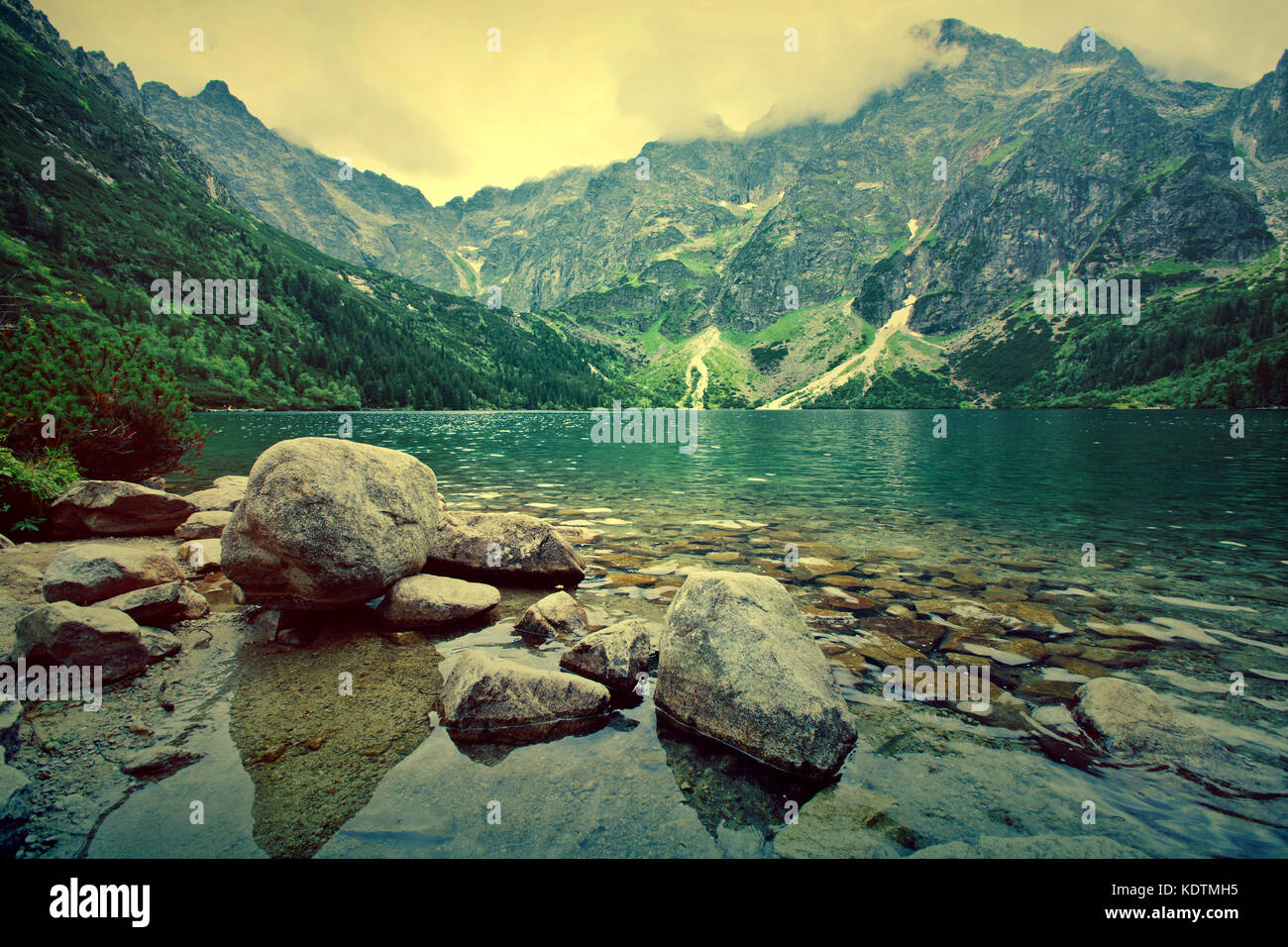 Retro Vintage Nature Photography
