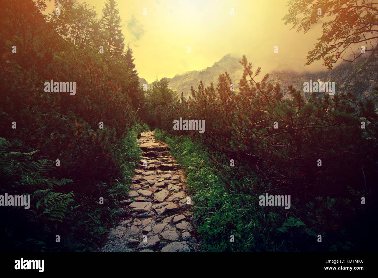Fog in mountains. Fantasy and colorfull nature landscape. Nature ...