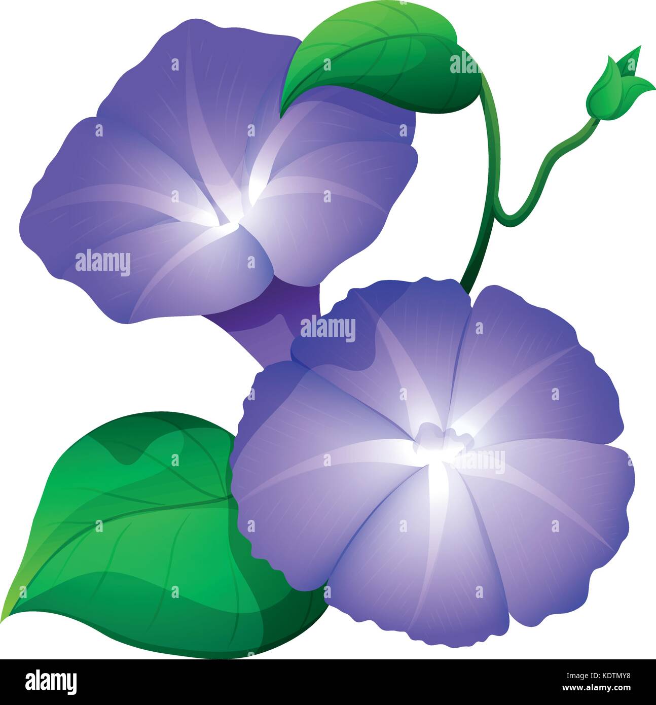 Lavender Color Flower Clipart