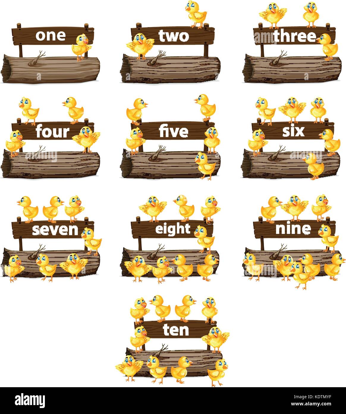 Counting numbers with little chicks illustration Stock Vector Image ...